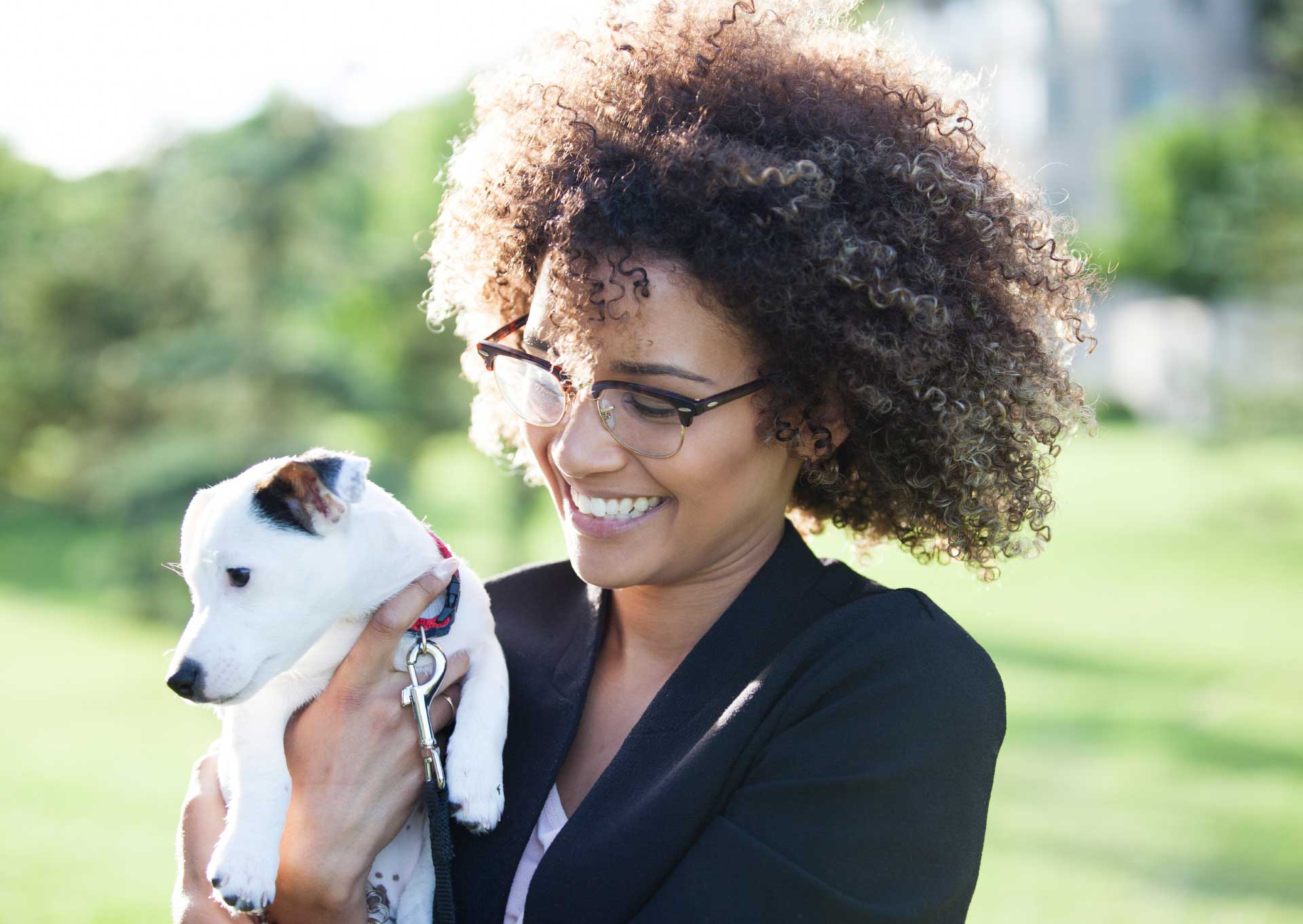 mini-slider-tower-dog | Altura Bayshore | Newest Luxury Condos in Tampa